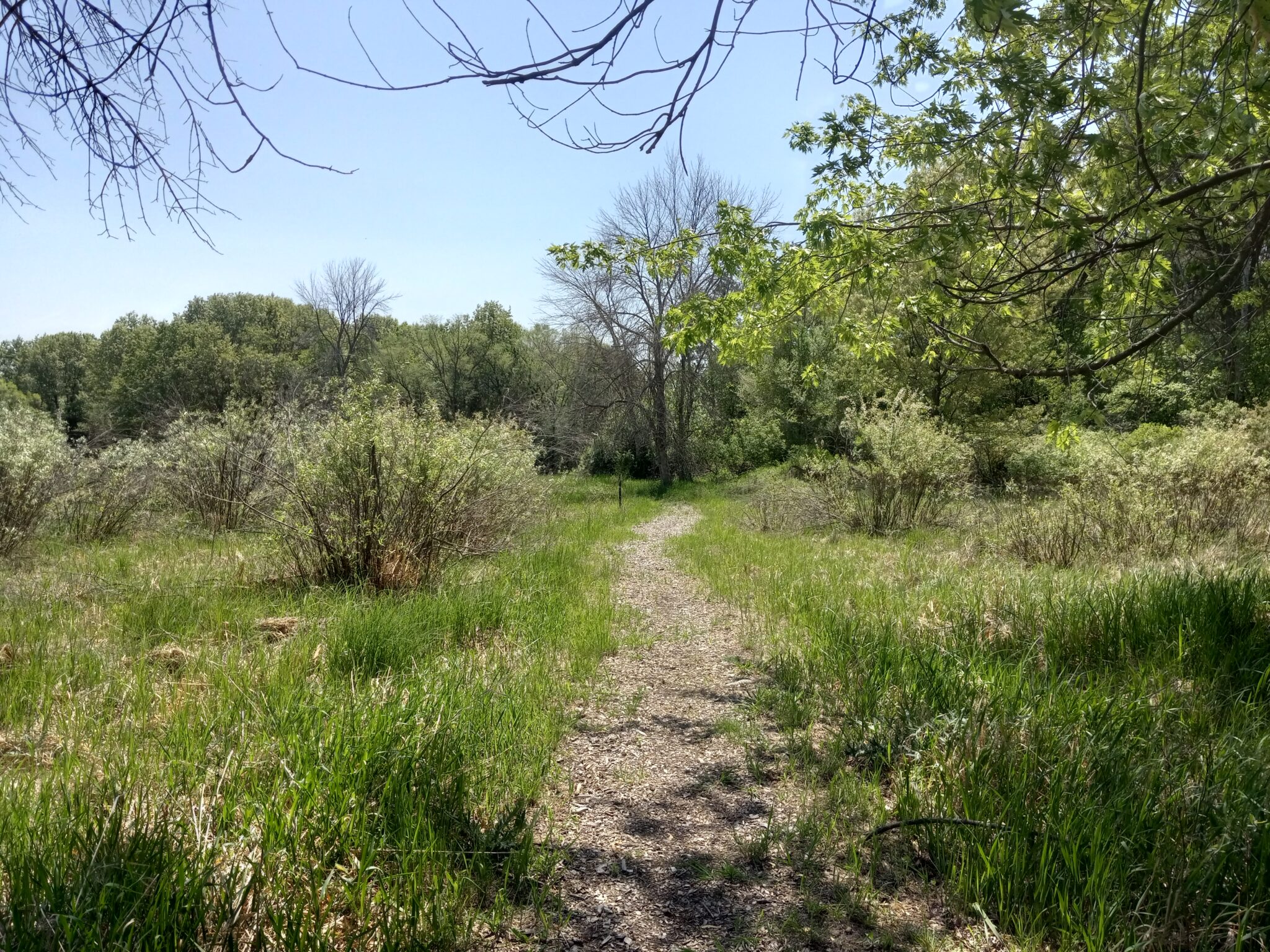 Hiking | To Do Categories | Marquette County Tourism & Visitors Bureau