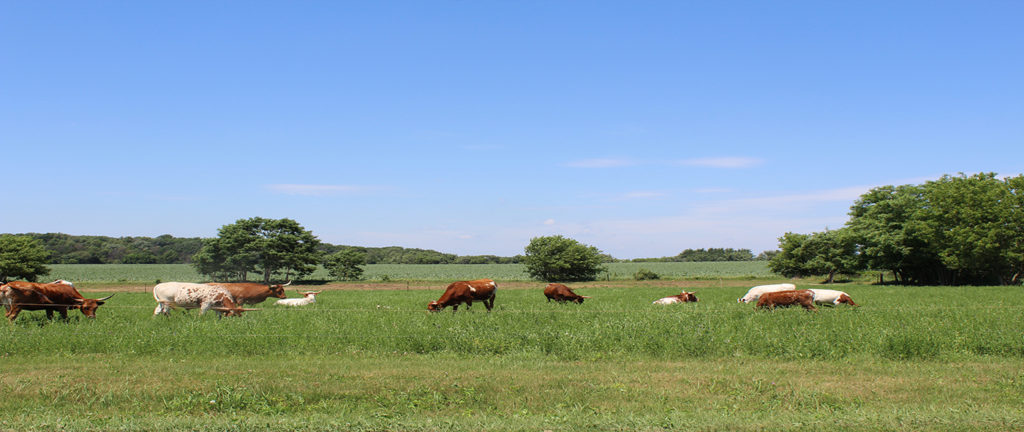 Marquette County Tourism & Visitors Bureau