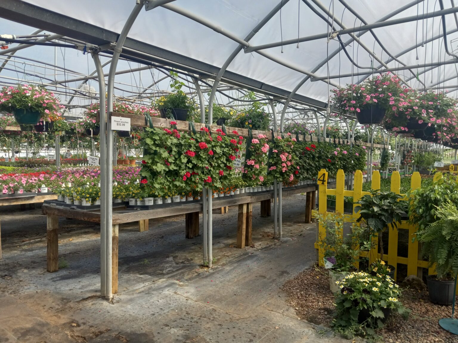 Five Great Marquette County Greenhouses | Marquette County Tourism ...