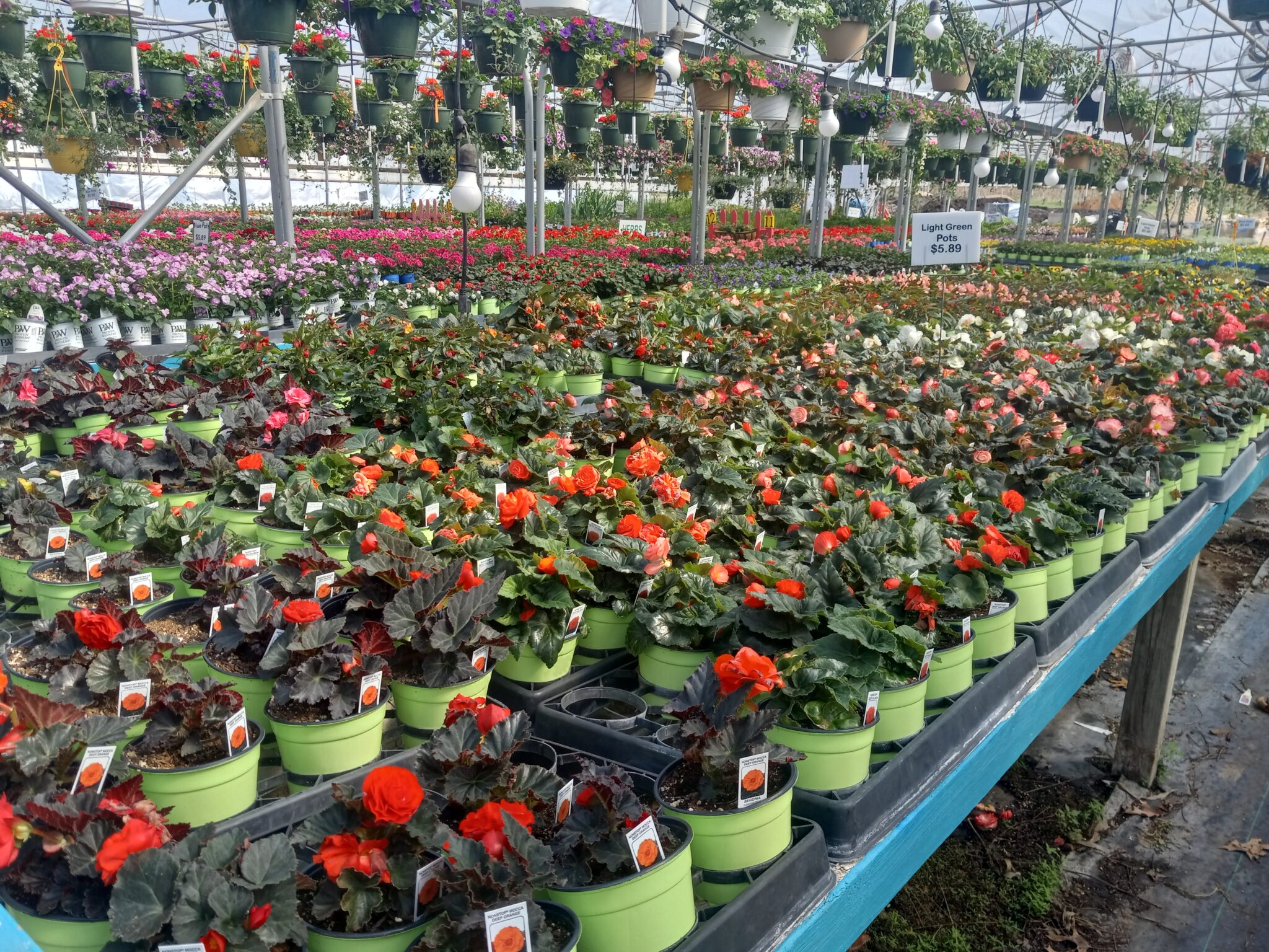 Five Great Marquette County Greenhouses | Marquette County Tourism ...