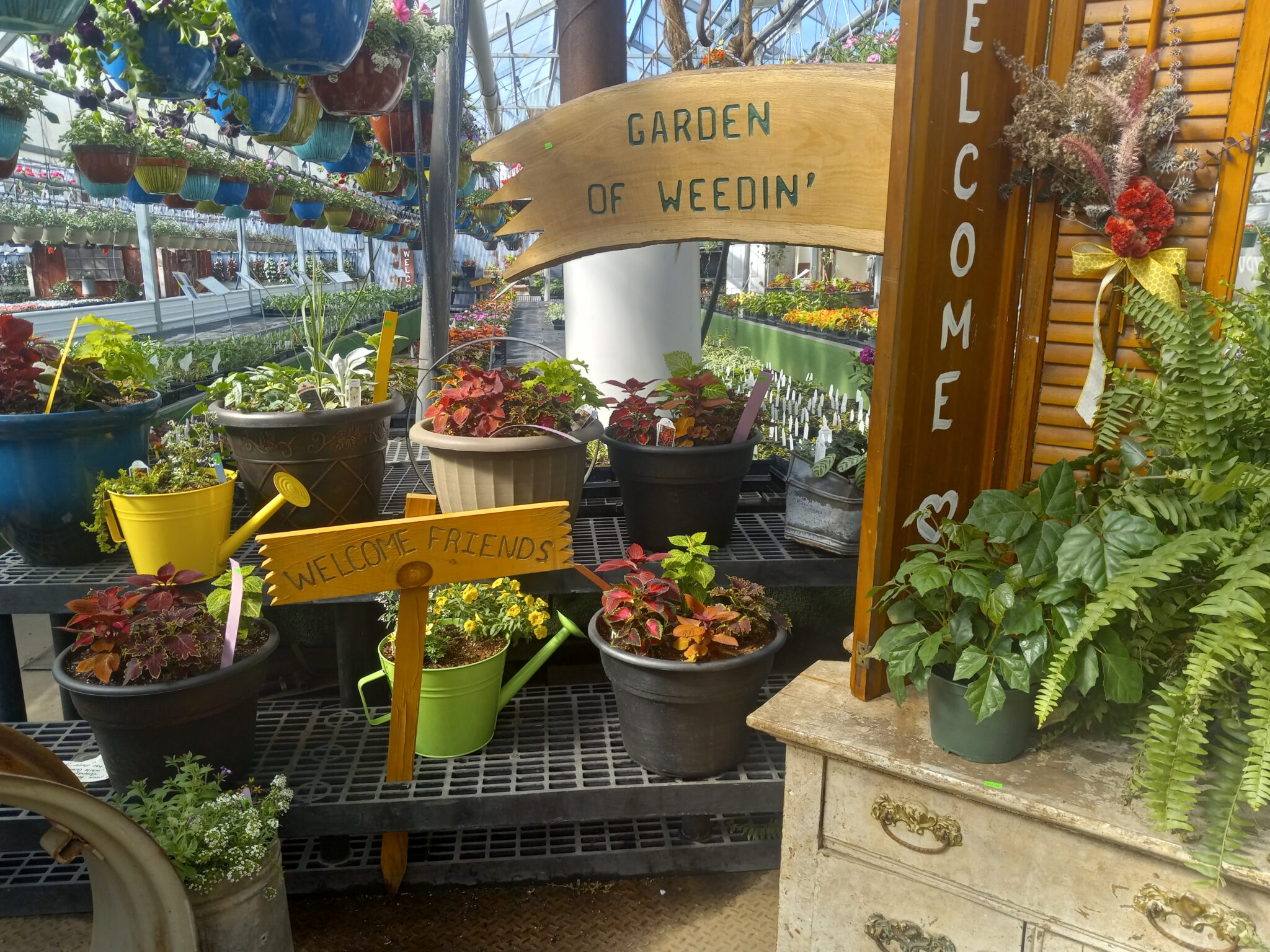 Five Great Marquette County Greenhouses | Marquette County Tourism ...